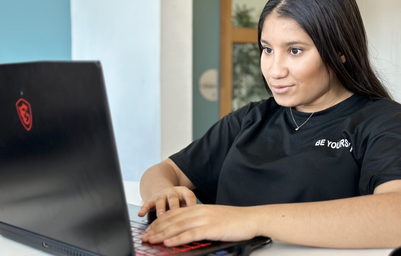 Réaliser son stage de seconde en informatique, Data, IA, digital ...